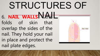 Lesson-5-NailCare.ppt