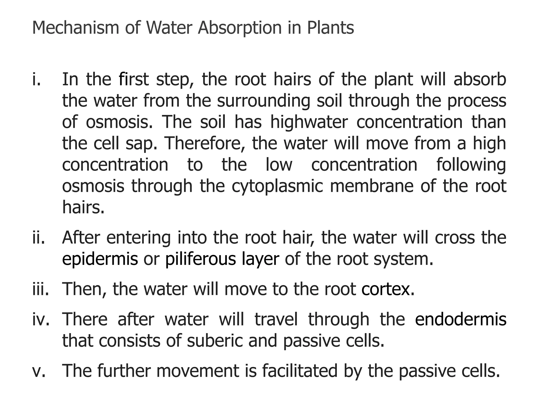 Lesson-6-1 (2). Water absorption by plant | PPT