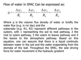 Lesson-6-1 (2). Water absorption by plant | PPTX