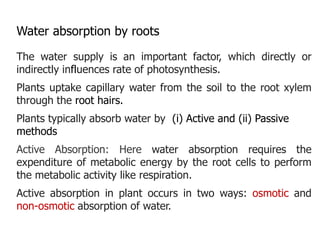 Lesson-6-1 (2). Water absorption by plant | PPTX