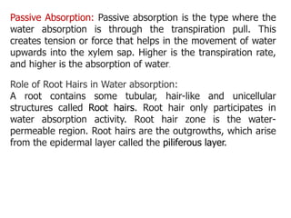 Lesson-6-1 (2). Water absorption by plant | PPT