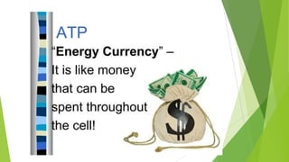 life Science Lesson-6.pptx