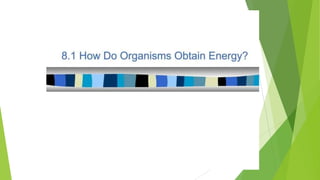 life Science Lesson-6.pptx