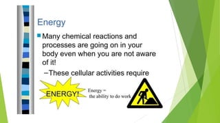 life Science Lesson-6.pptx