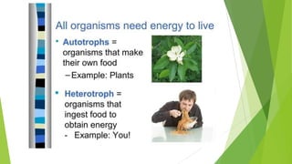 life Science Lesson-6.pptx