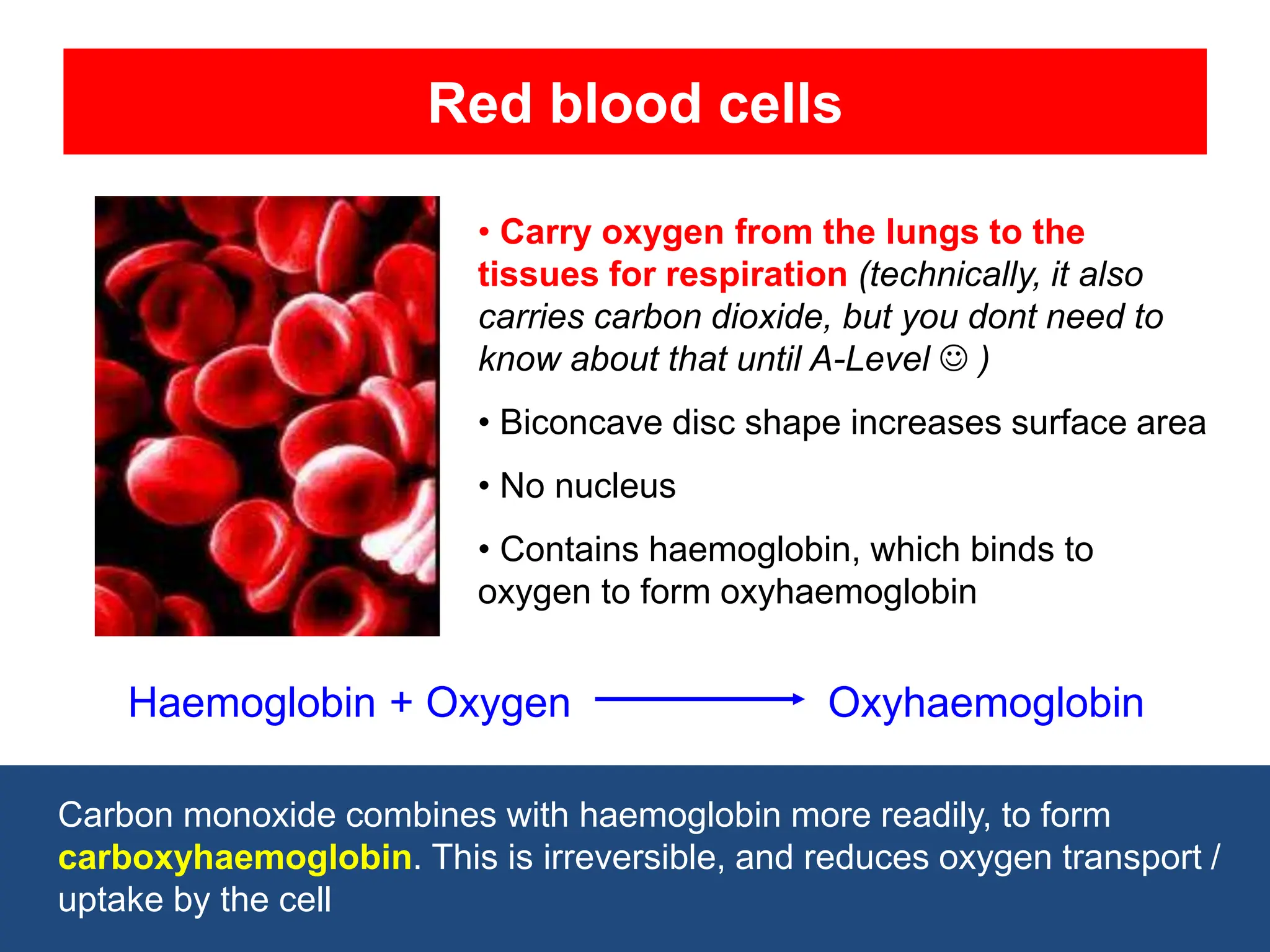 Lesson-6---Components-of-Blood.ppt