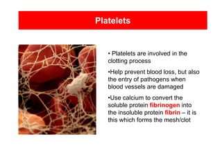 Lesson-6---Components-of-Blood.ppt