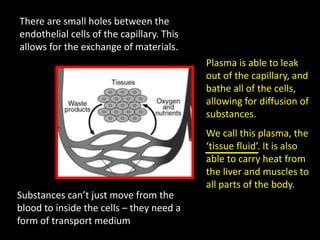 Lesson-6---Components-of-Blood.ppt