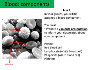 Lesson-6---Components-of-Blood.ppt