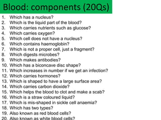 Lesson-6---Components-of-Blood.ppt
