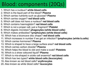Lesson-6---Components-of-Blood.ppt