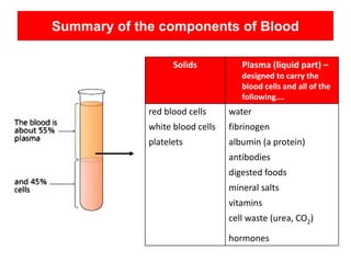 Lesson-6---Components-of-Blood.ppt