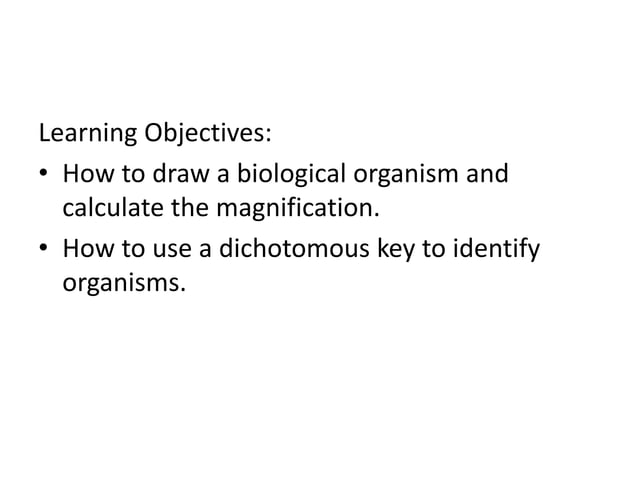 Lesson 6 making biological drawings & using keys | PPTX