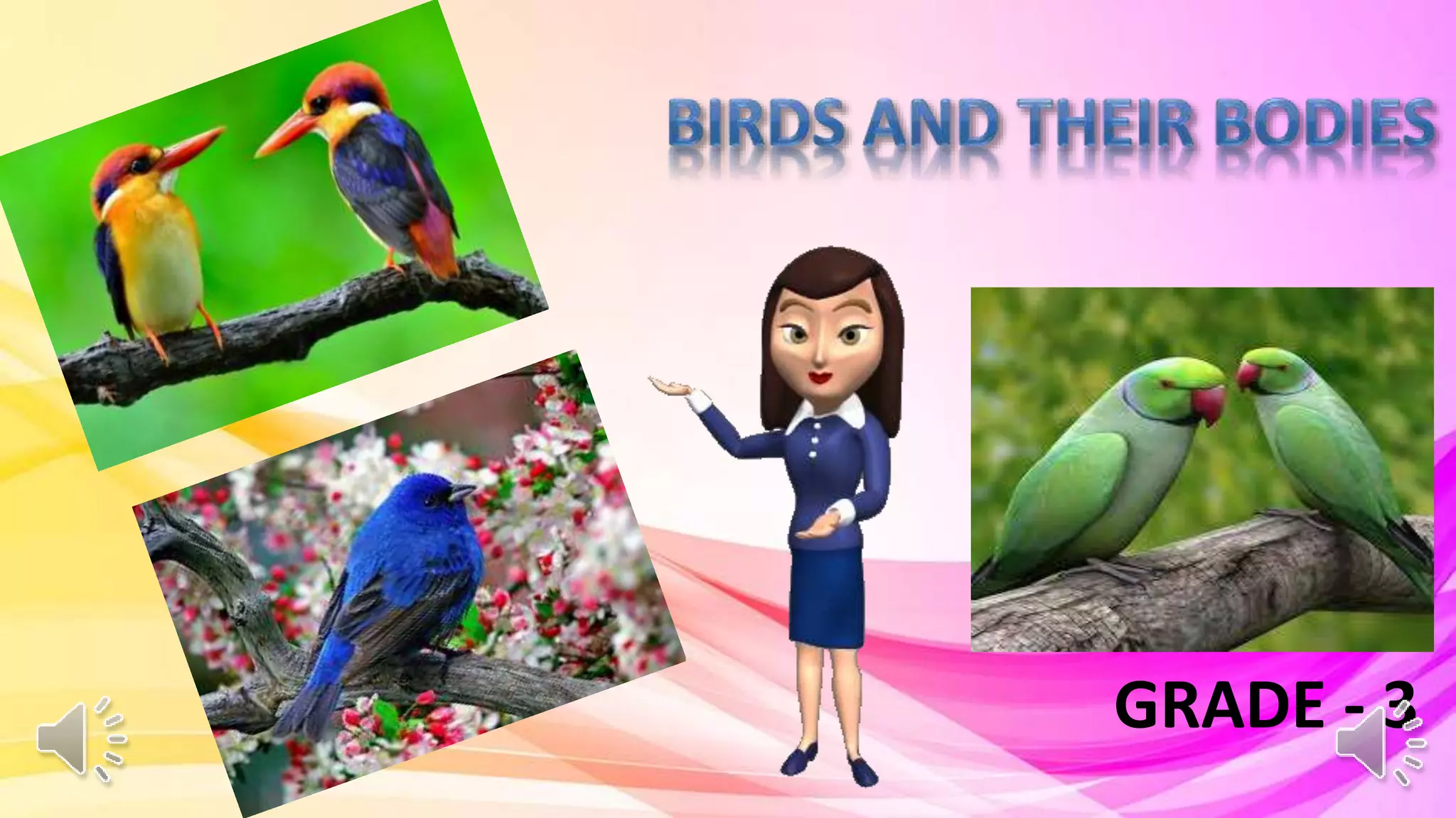 CBSE: GRADE 3 BIRDS AND THEIR BODIES | PPTX