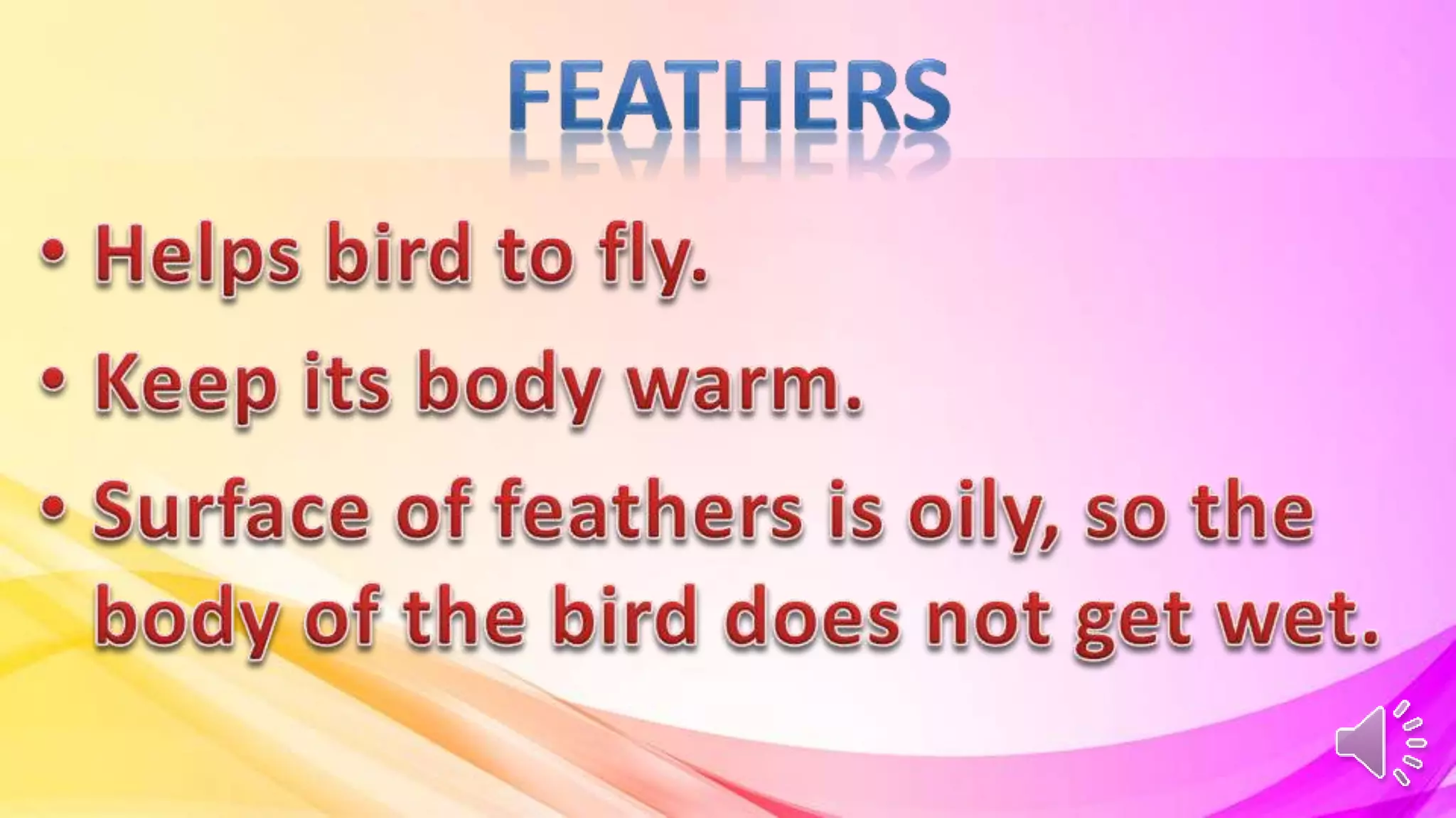 CBSE: GRADE 3 BIRDS AND THEIR BODIES | PPTX