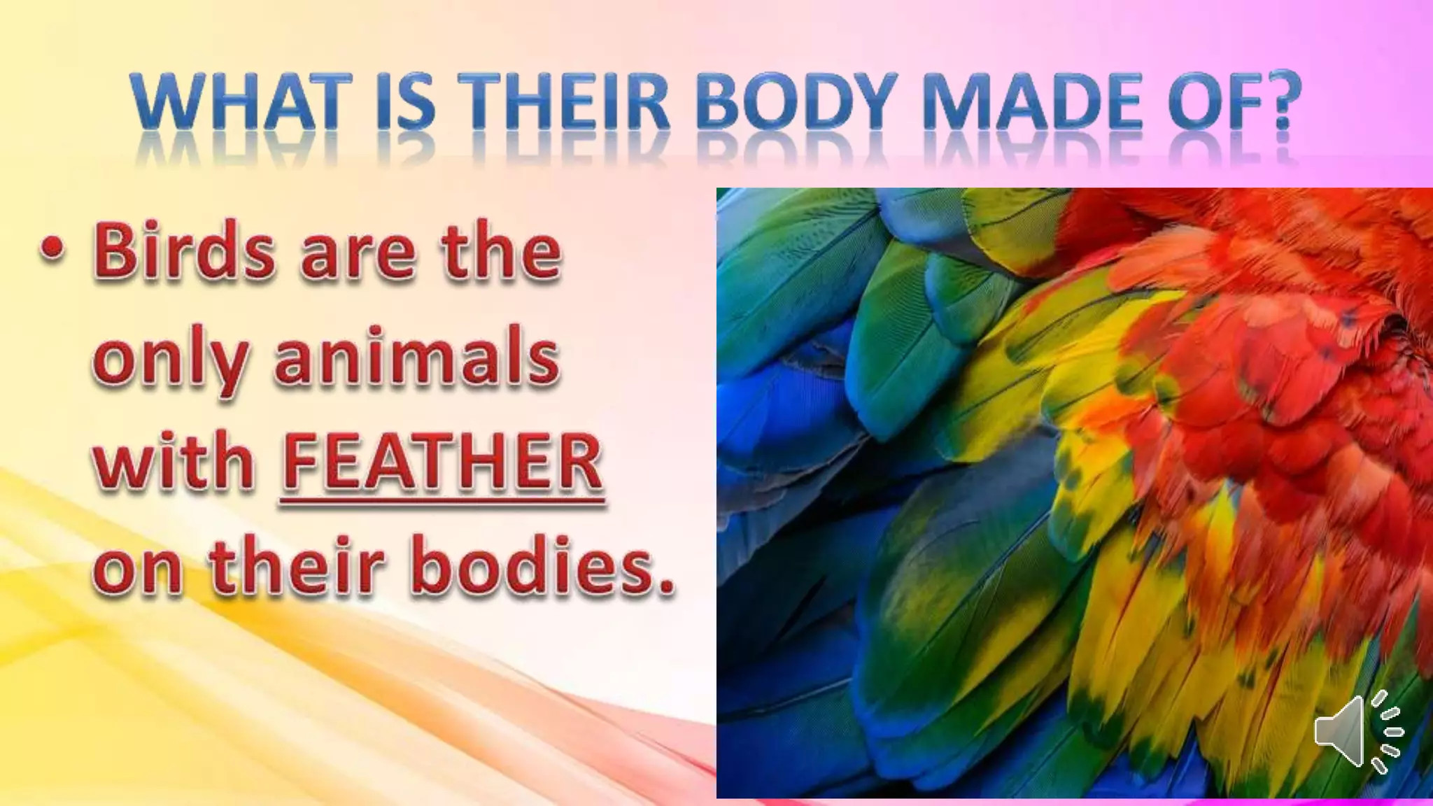 CBSE: GRADE 3 BIRDS AND THEIR BODIES | PPTX