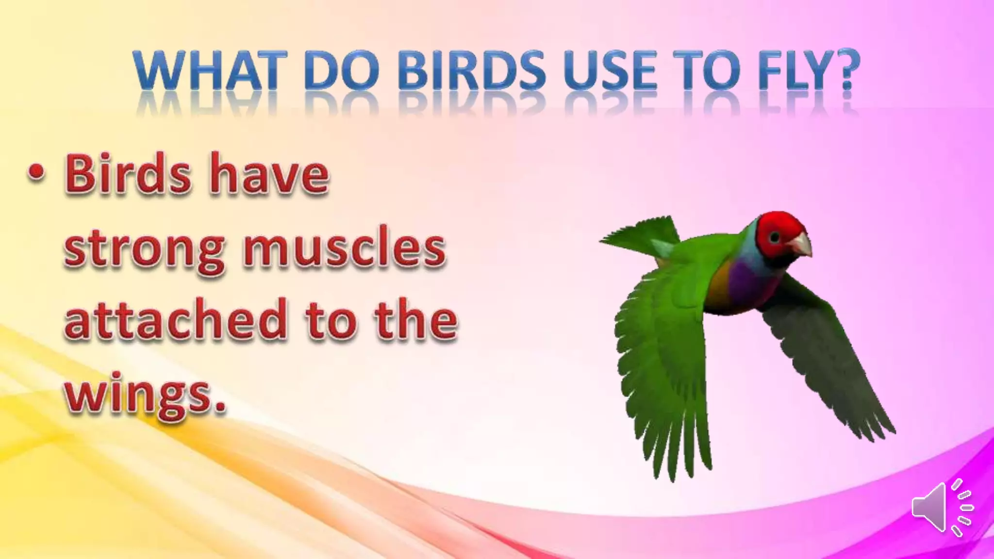 CBSE: GRADE 3 BIRDS AND THEIR BODIES | PPTX
