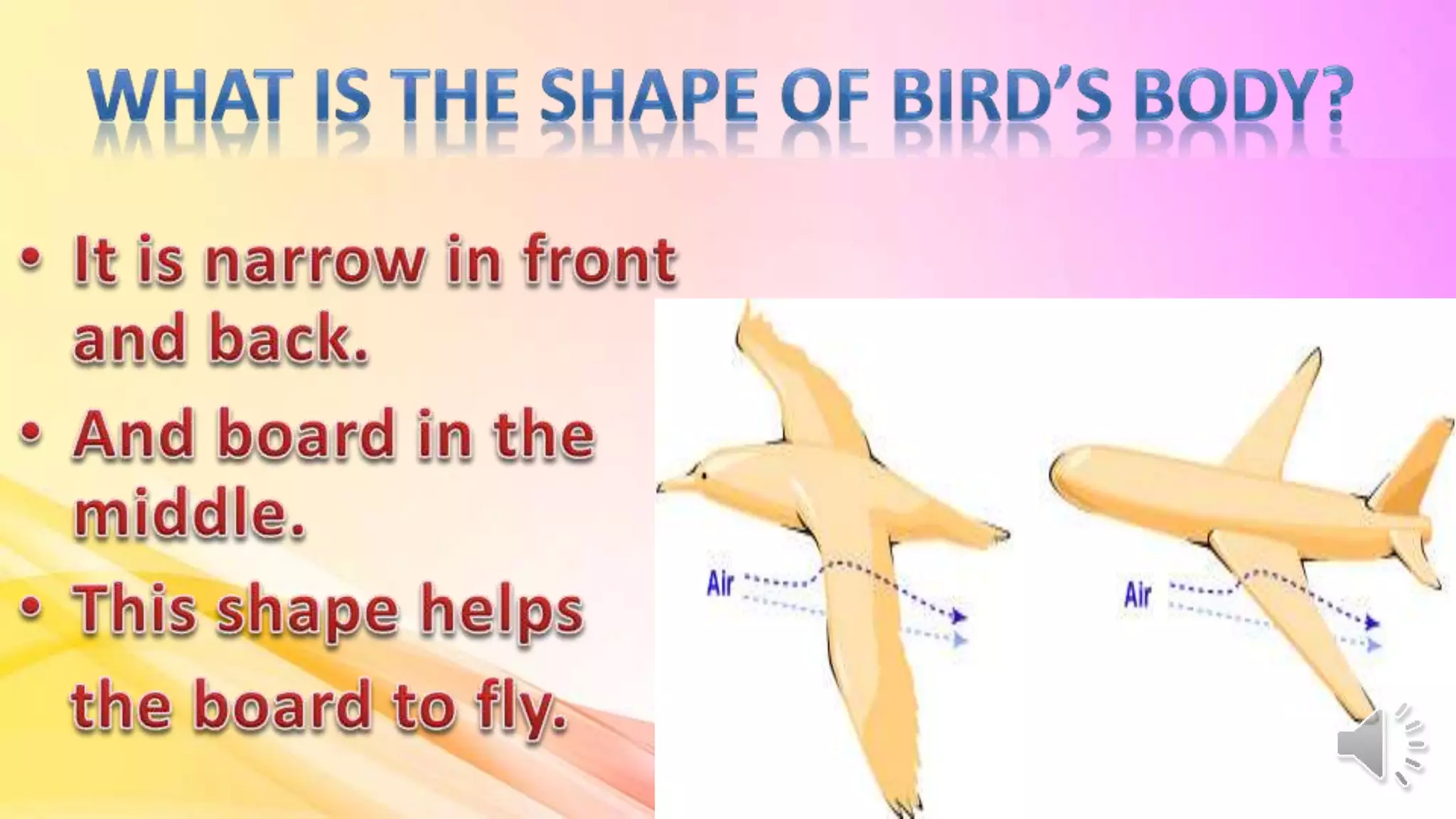 CBSE: GRADE 3 BIRDS AND THEIR BODIES | PPTX