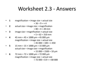 Lesson 7 calculating magnification & dichotomous keys | PPTX