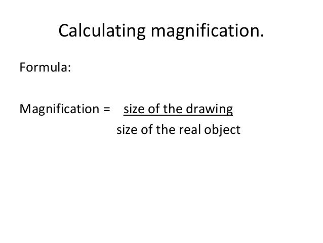 Lesson 7 calculating magnification & dichotomous keys
