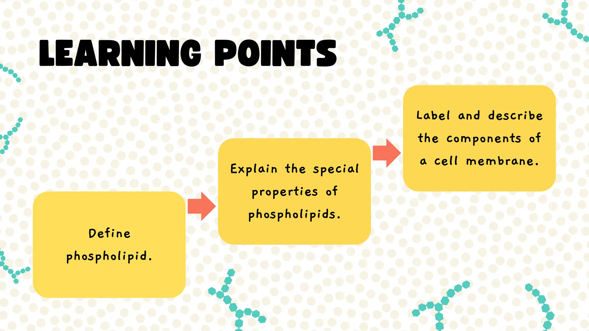 Lesson-7-Cell-membrane-structure for G11 | PDF