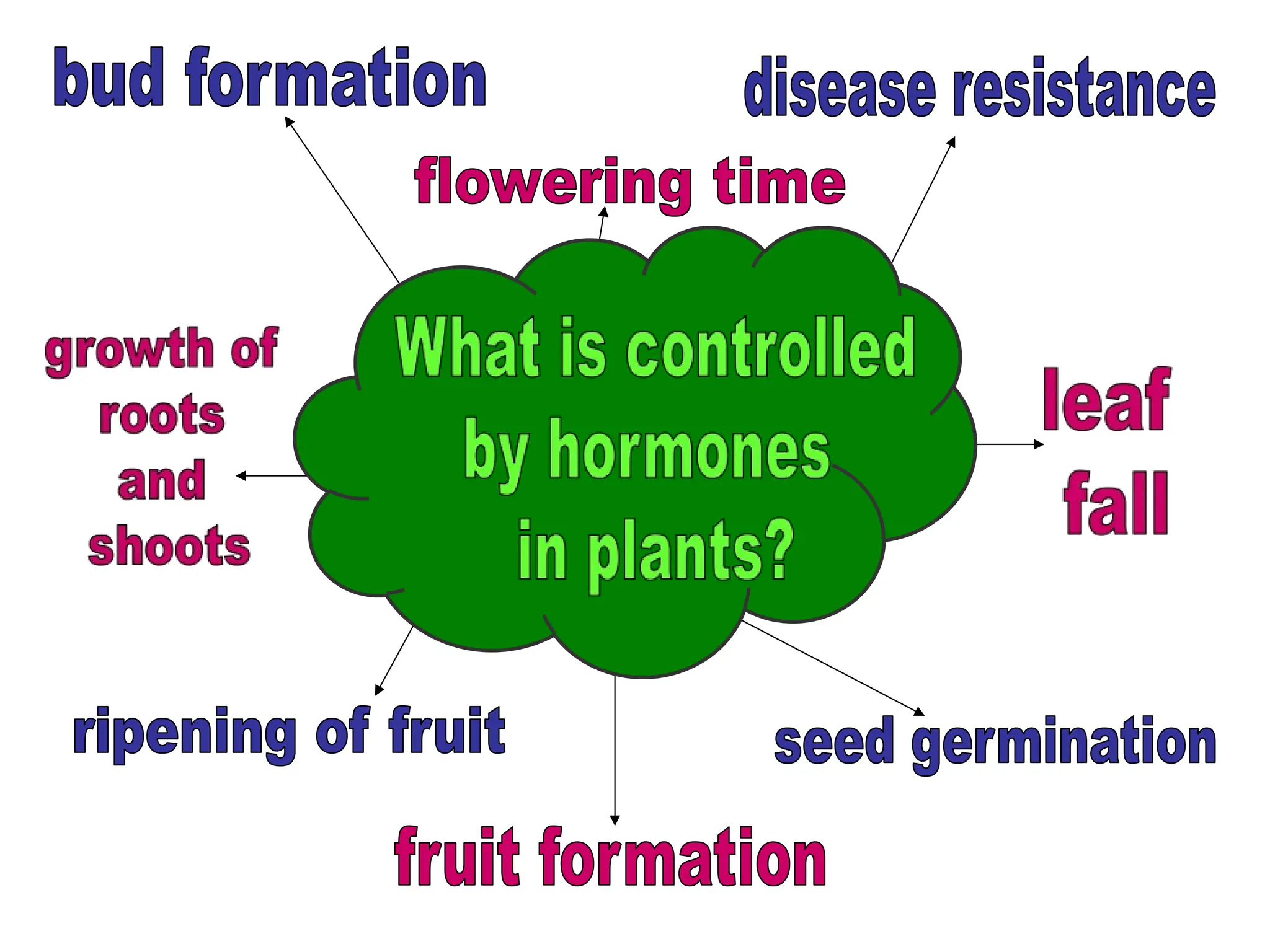 Lesson-7---Tropisms PowerPoint Presentation | PPT