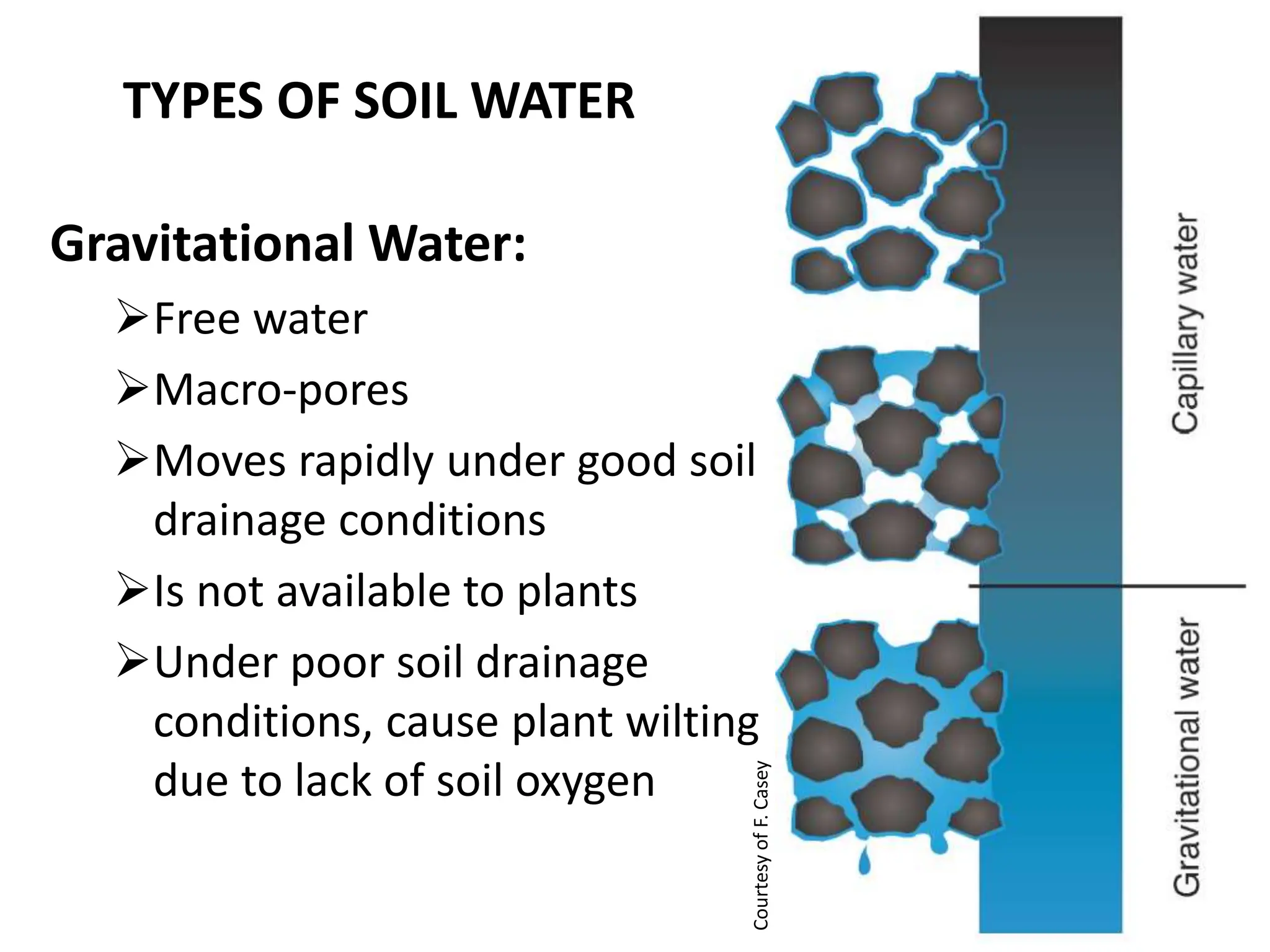 Water management type of water nutrients availability ans loses | PPT