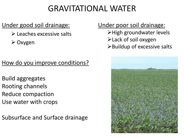 Water management type of water nutrients availability ans loses | PPT