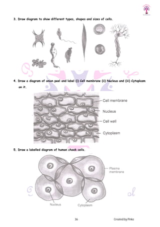 Lesson-8-1.pdf cell structure function presentation | PDF