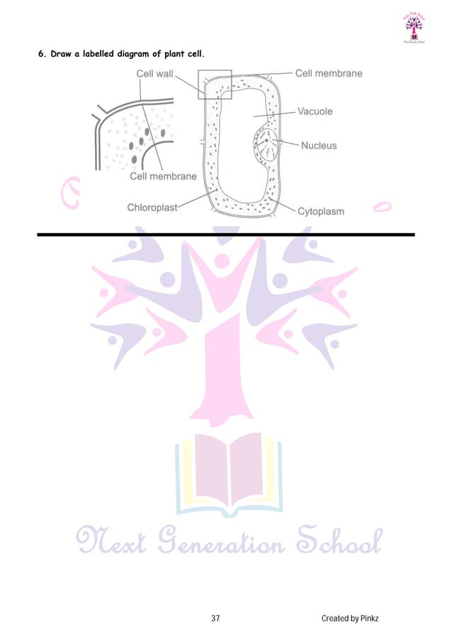 Lesson-8-1.pdf cell structure function presentation | PPT