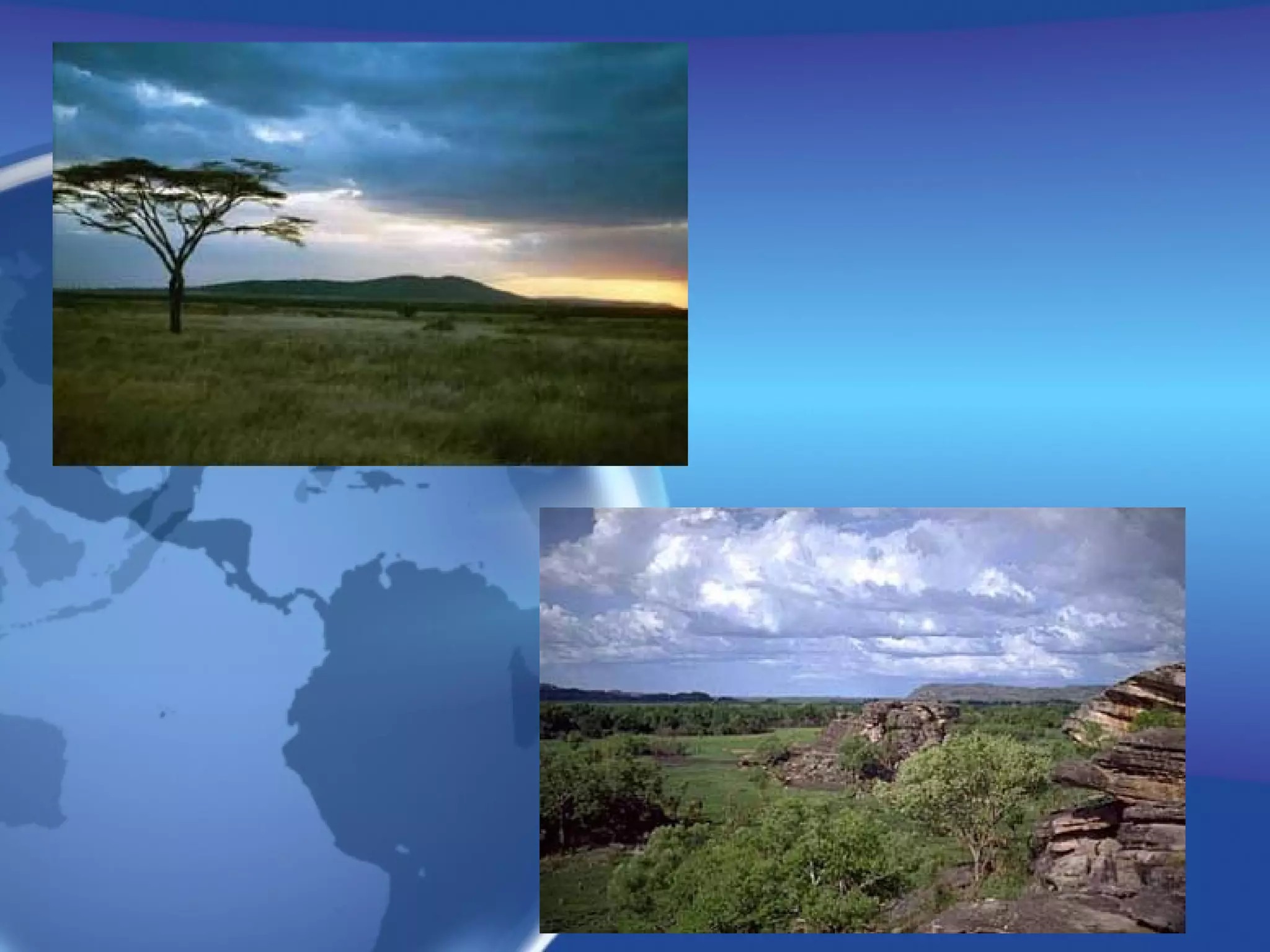 Climate And Vegetation of Africa South of the Sahara | PPT | Africa ...