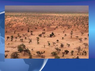 Climate And Vegetation of Africa South of the Sahara | PPT