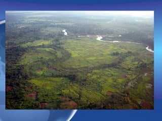 Climate And Vegetation of Africa South of the Sahara | PPT