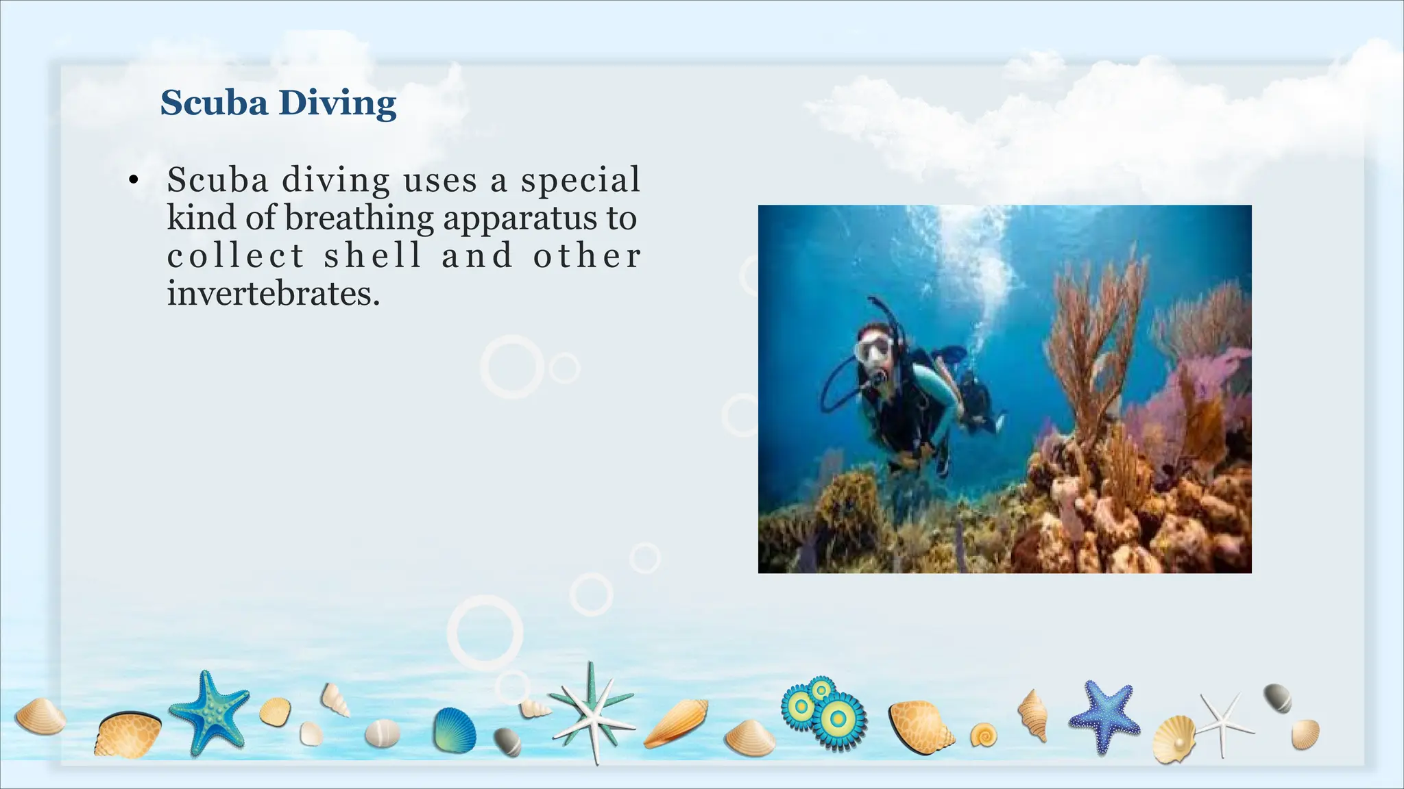 Seashell crafts indigenous creative crafts | PDF