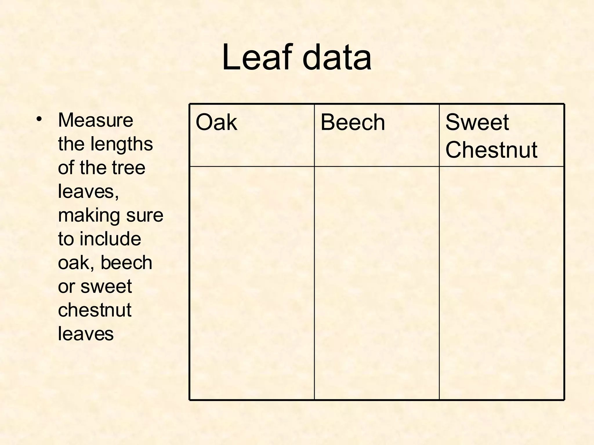Lesson 8 Woodland Survey Updated | PPT