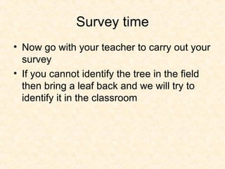 Lesson 8 Woodland Survey Updated | PPT