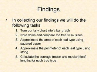 Lesson 8 Woodland Survey Updated | PPT