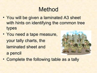 Lesson 8 Woodland Survey Updated | PPT