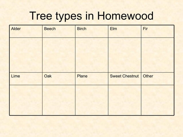 Lesson 8 Woodland Survey Updated | PPT | Woodworking | Arts and Crafts