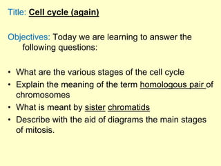 Lesson chromsomes and the cell cycle | PPT