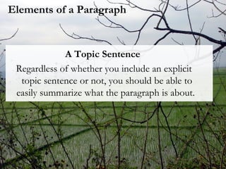 Lesson Four: Paragraphing | PPT