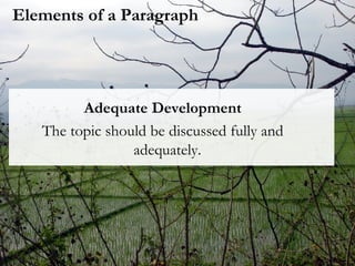 Lesson Four: Paragraphing | PPT