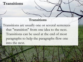 Lesson Four: Paragraphing | PPT