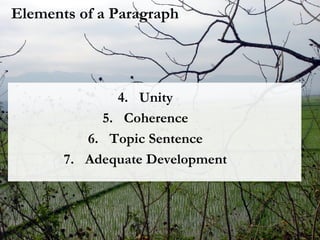 Lesson Four: Paragraphing | PPT