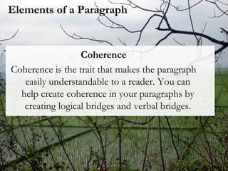 Lesson Four: Paragraphing | PPT
