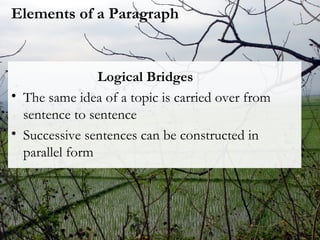 Lesson Four: Paragraphing | PPT