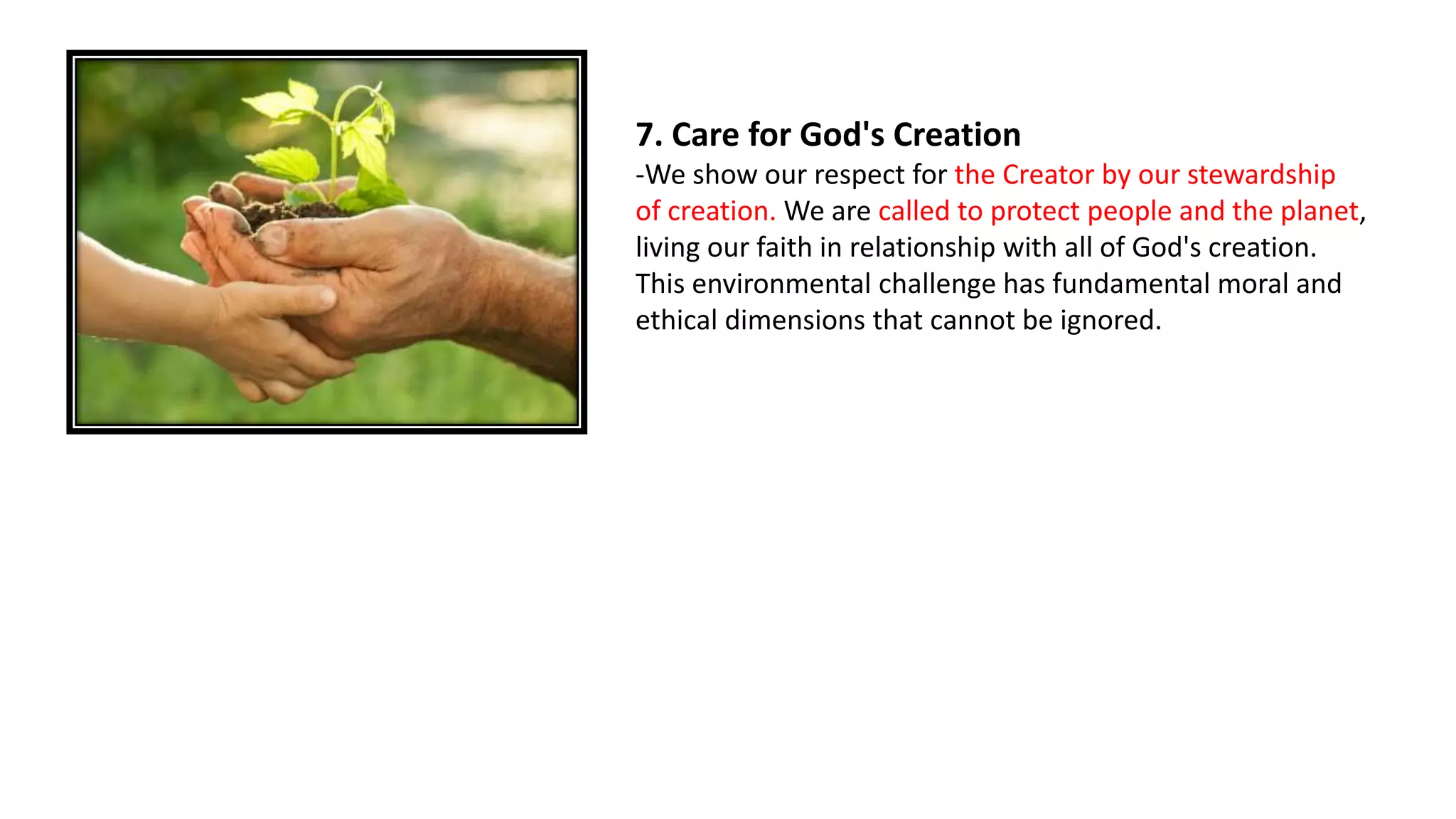 Seven Themes of Catholic Social Teaching.pptx