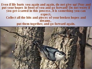 Lesson In Perseverance | PPS