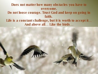 Lesson In Perseverance | PPT