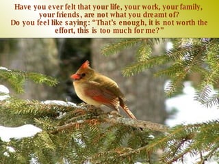 Lesson In Perseverance | PPT